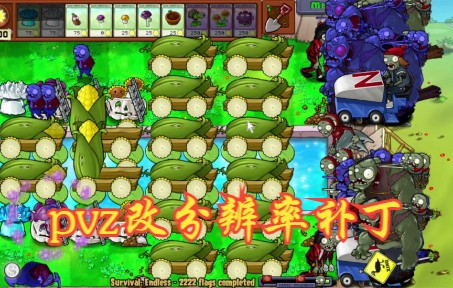 【下载教程】拓展场地视野的pvz改分辨率补丁