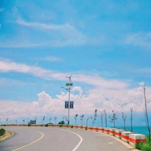 测试佬鸟小助理 