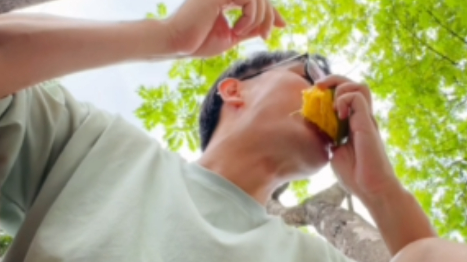 博导在广西某211大学校园捡有机垃圾吃被猴子围观…