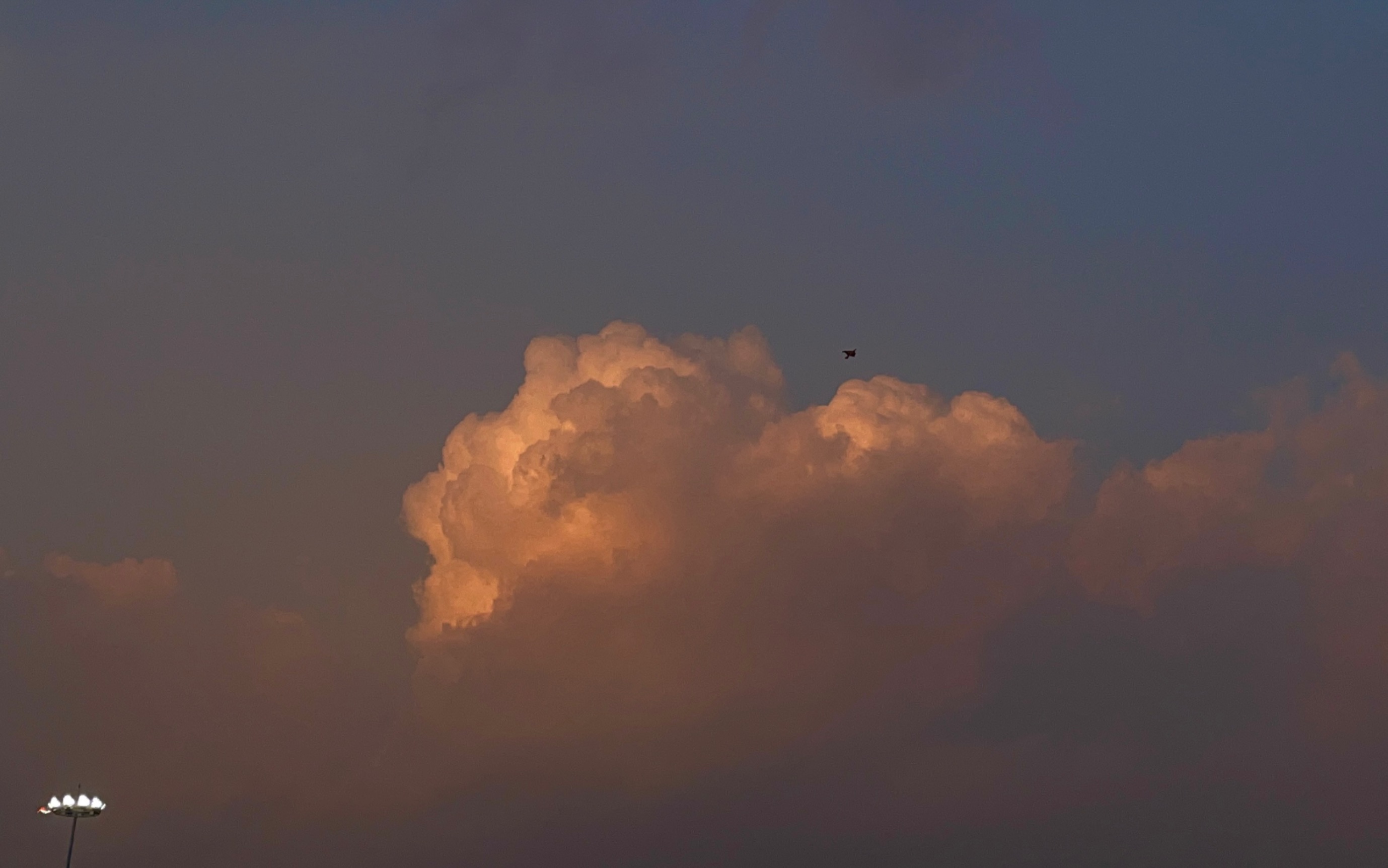 FLASH BACK | GO EASY ON LIFE