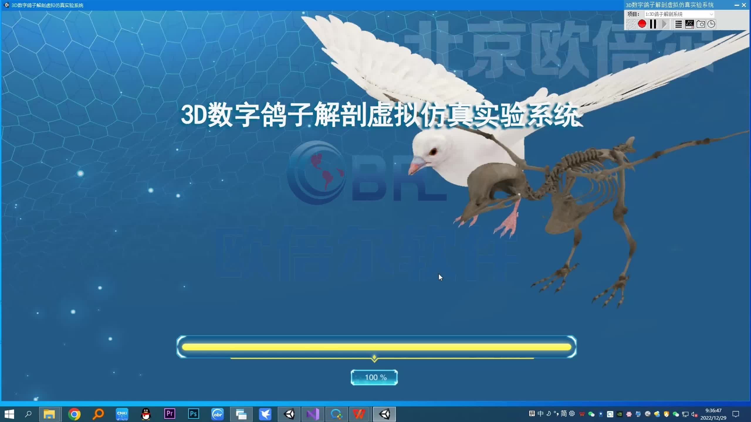 3D数字鸽子解剖虚拟仿真实验系统