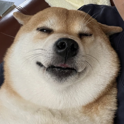 奶酪球球说算法 