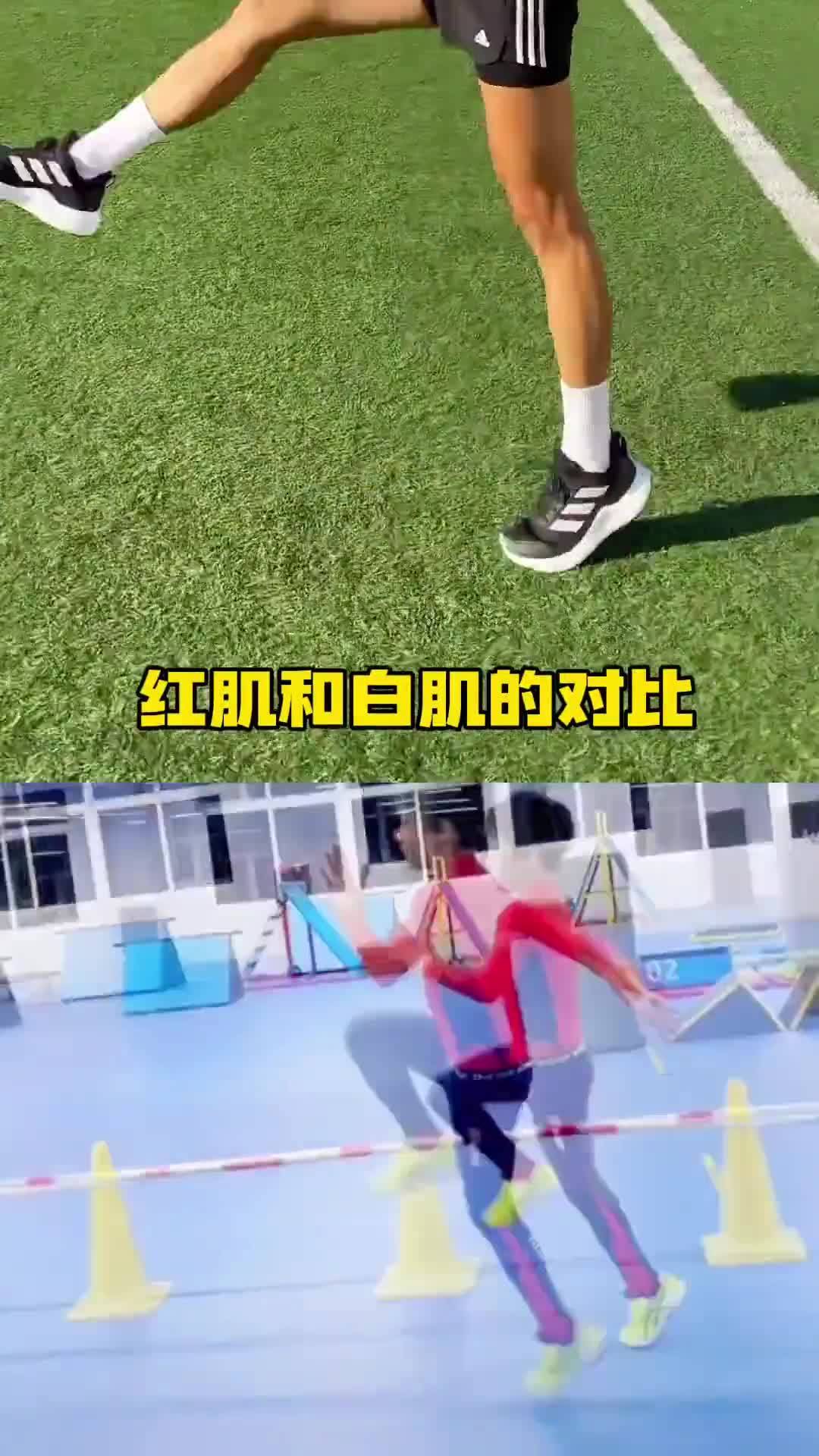 从小就练体育,话说动作模式有多重要