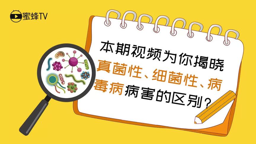 作物真菌性、细菌性、病毒病病害有何区别?这个视频讲透了