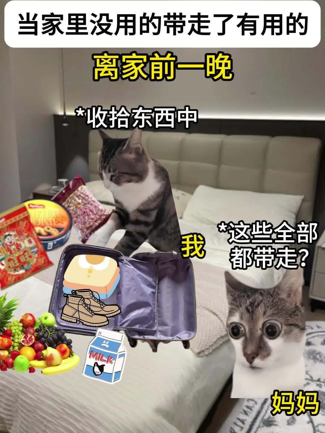 当家里没用的带走了有用的