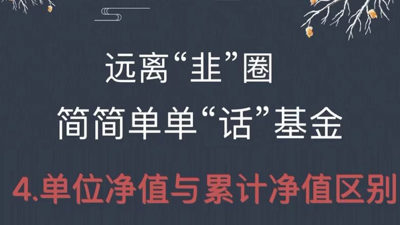 基金的单位净值 累计净值区别