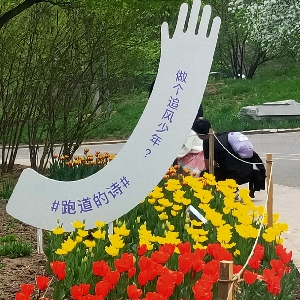 风景花不落 