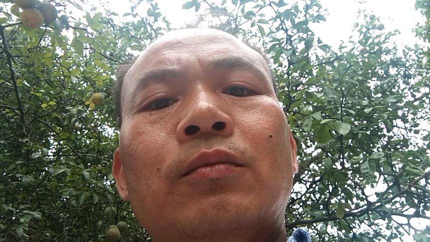 日常百草之枳实,枳实越陈越香,你会区别大小的妙用?