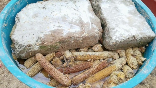 看完视频,想大规模种植,按照教学视频操作把面积加宽即可!