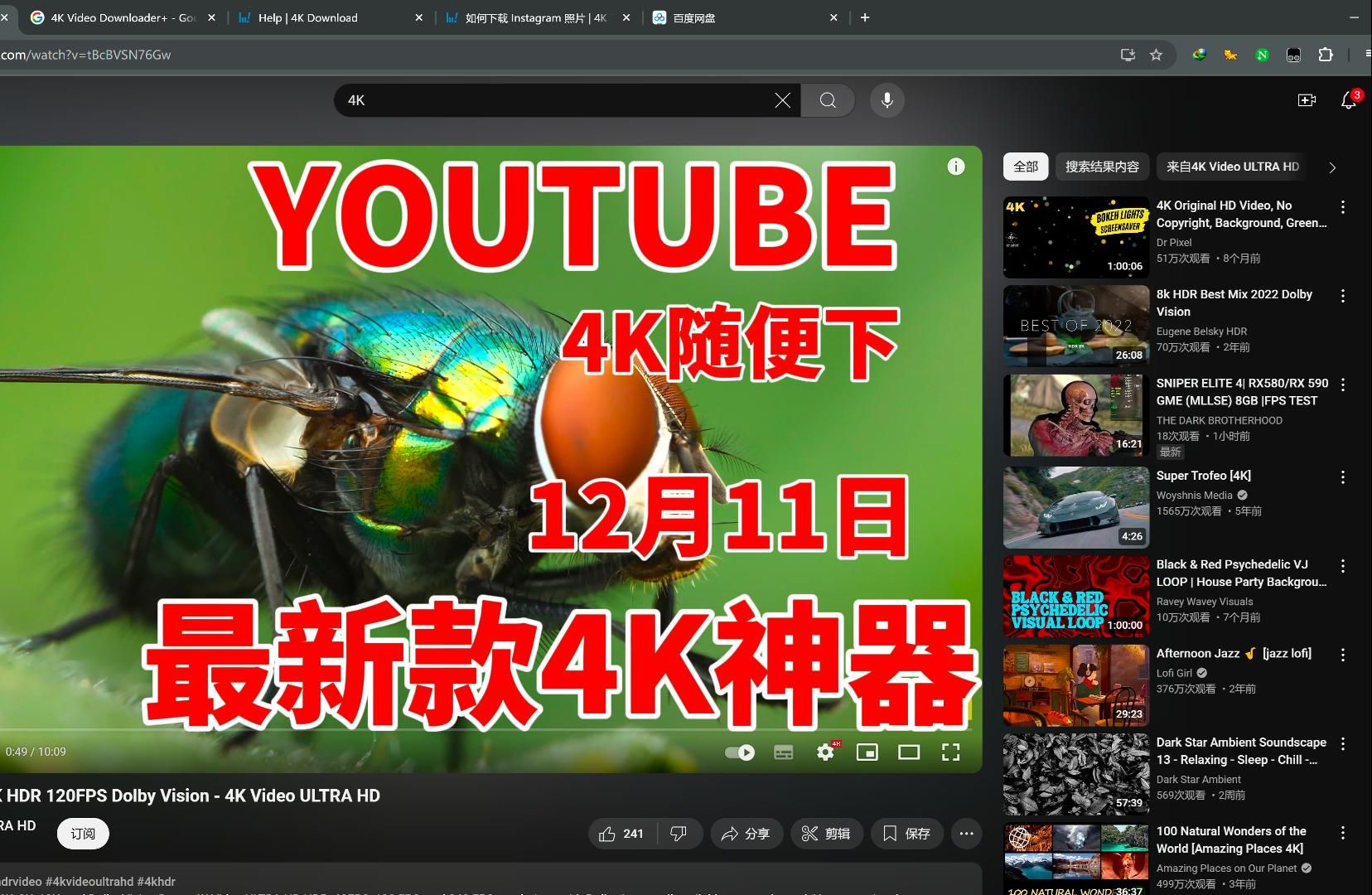 最新油管下载软件,4K下载神器,4K视频随便下载,同步官网最新功能