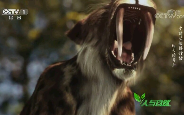 【纪录片/人与自然】——史前动物排行榜(4集全)