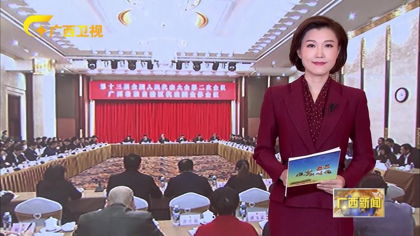 十三届全国人大二次会议广西代表团举行第一次全体会议