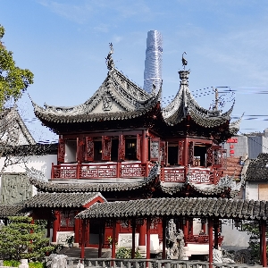 漫游上海的秦姐 