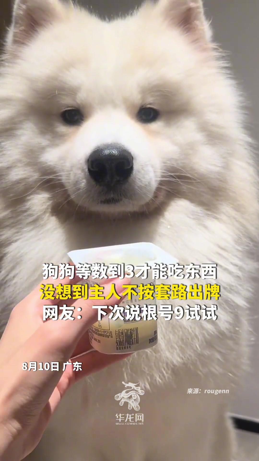 ...没想到主人不按套路出牌。网友:下次说根号9试试。来源:@rougenn