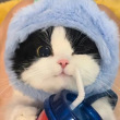 剧情逐梦梦 