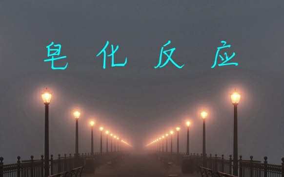 【化学实验】皂化反应