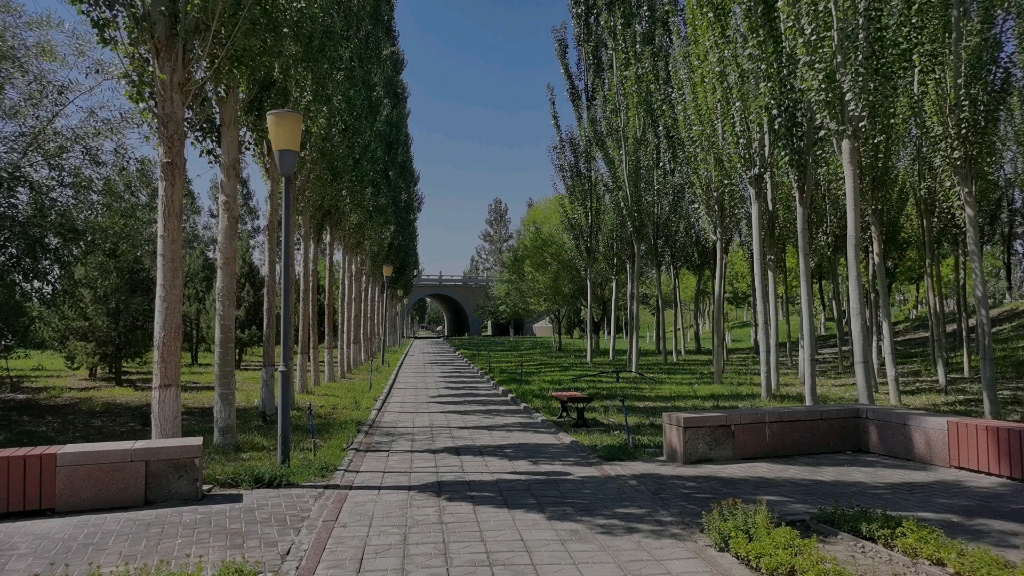 逛街(gai)小视频 / 产品适用 / 华为mate30+大疆osmo mobile3 俯仰锁定/...