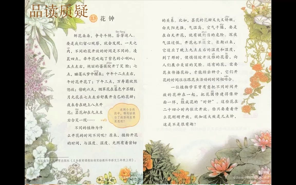 统编版小学三年级下册第四单元《花钟》