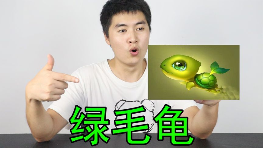 宠物开箱乌龟中的王者“深水绿毛龟”,全身长满绿毛你见过吗?