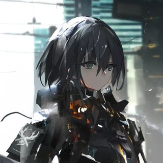 qvq电影