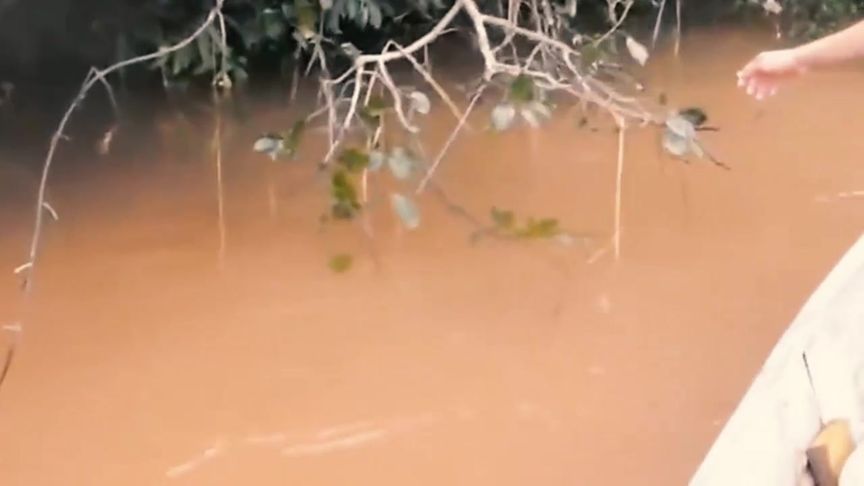 河里的树枝不停在晃动 男子悄悄划船过去拉起水下的猎物