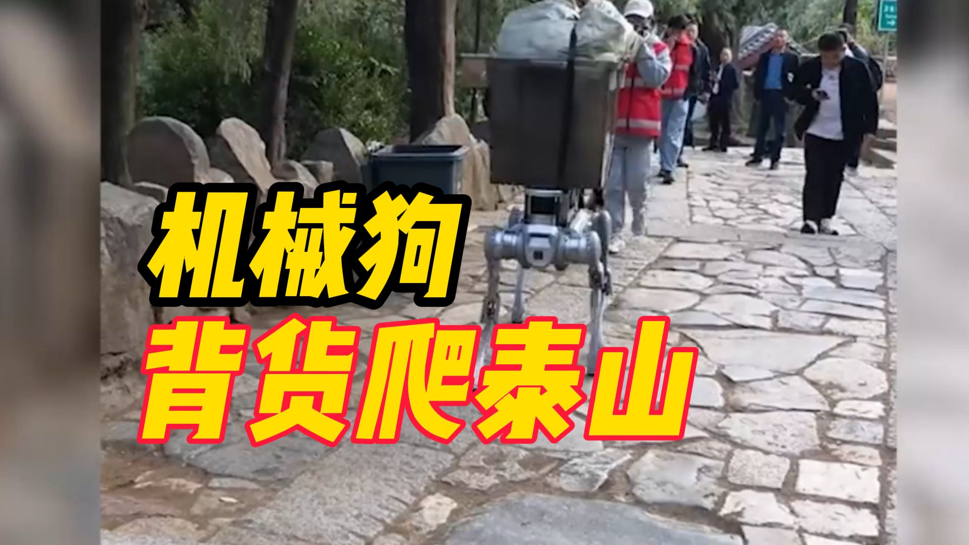 “机器狗”爬上泰山,制作公司:能搬120斤的货物