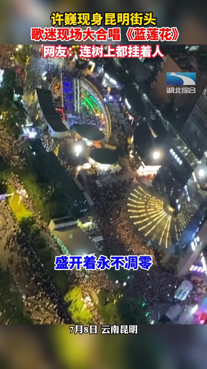 许巍现身#云南昆明街头,歌迷现场大合唱《蓝莲花》,网友:连树上都挂...