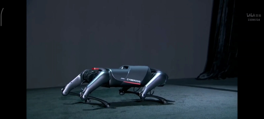 诡异的事情发生了哈哈,雷军训狗实录小米机器狗cyberdog-铁蛋