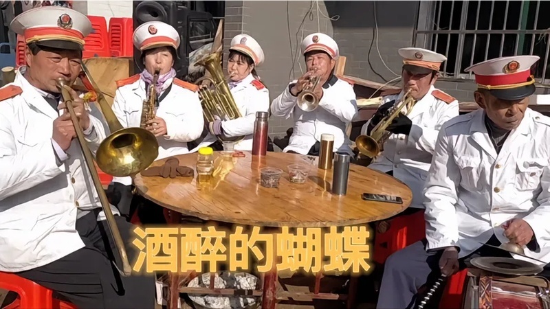 《酒醉的蝴蝶》铜管乐器合奏网红歌曲