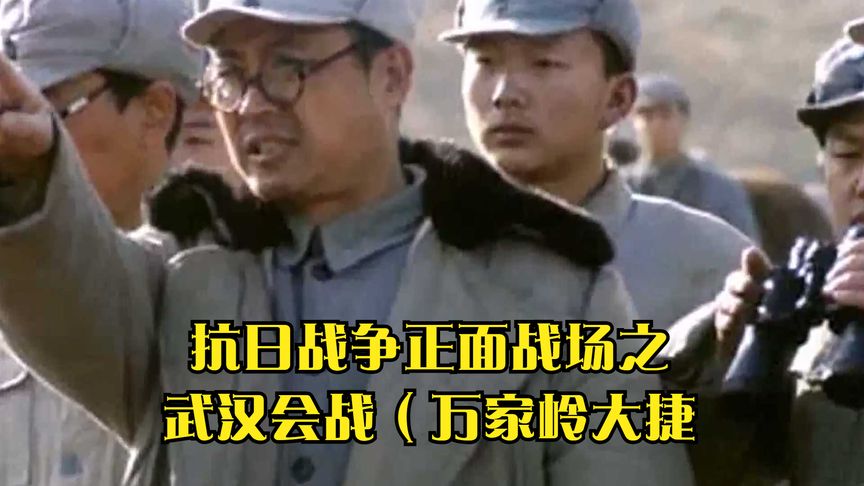 抗日战争正面战场之武汉会战(万家岭大捷)