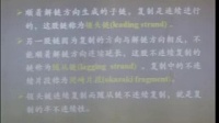 半不连续复制复制