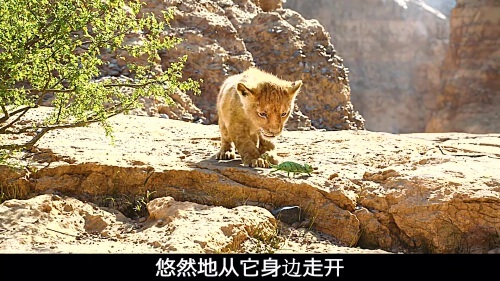 王者归来决战刀疤,为父报仇《狮子王》