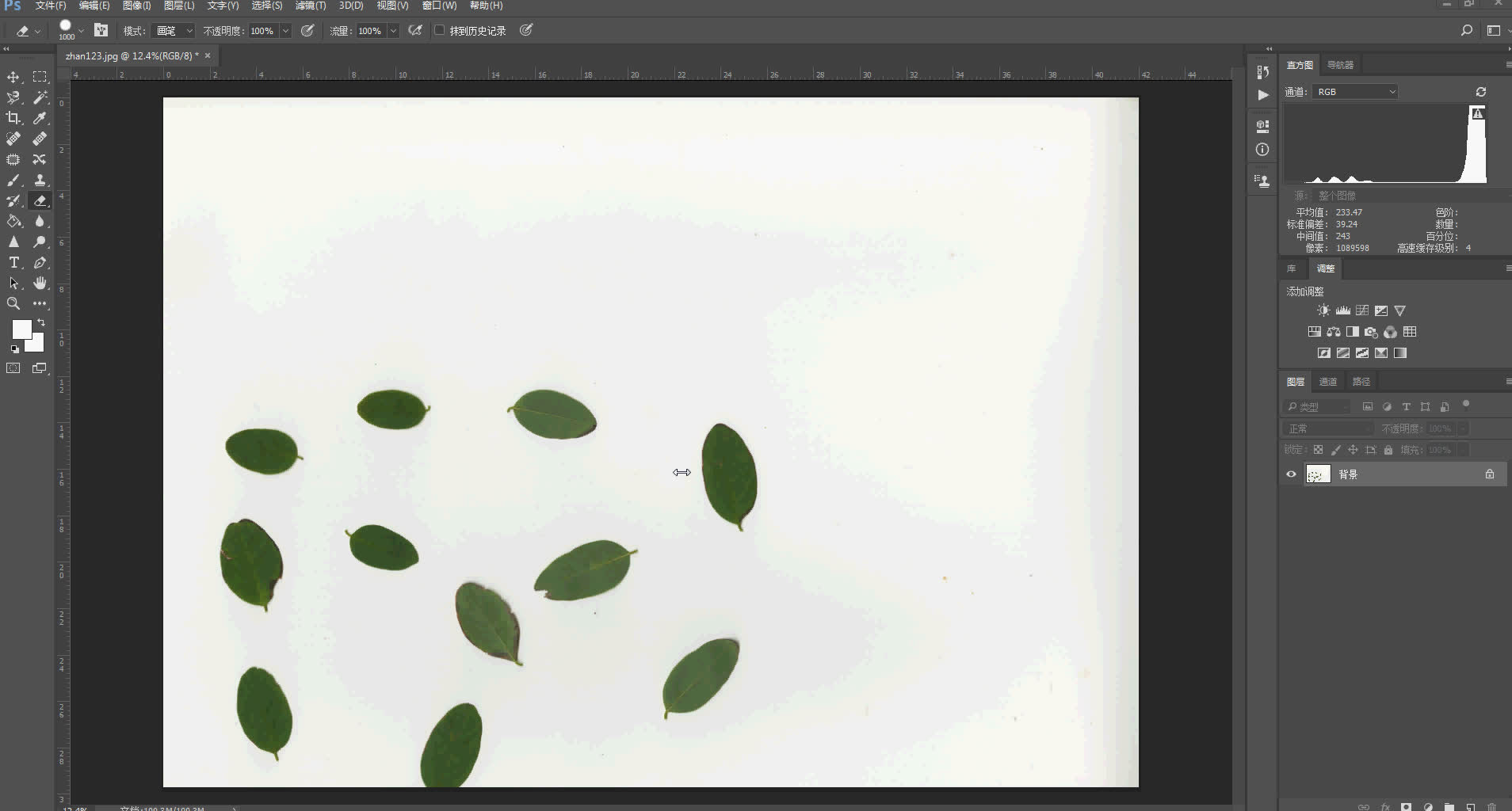 利用photoshop计算叶面积