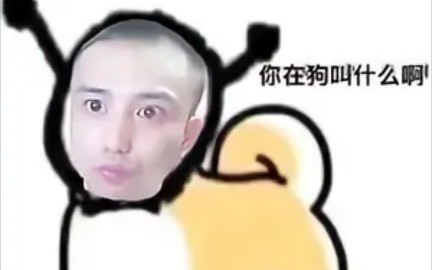 【王者荣耀】耀扬语录:你在狗叫什么_电子竞技热门视频