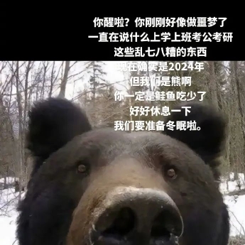 是赤色惹 
