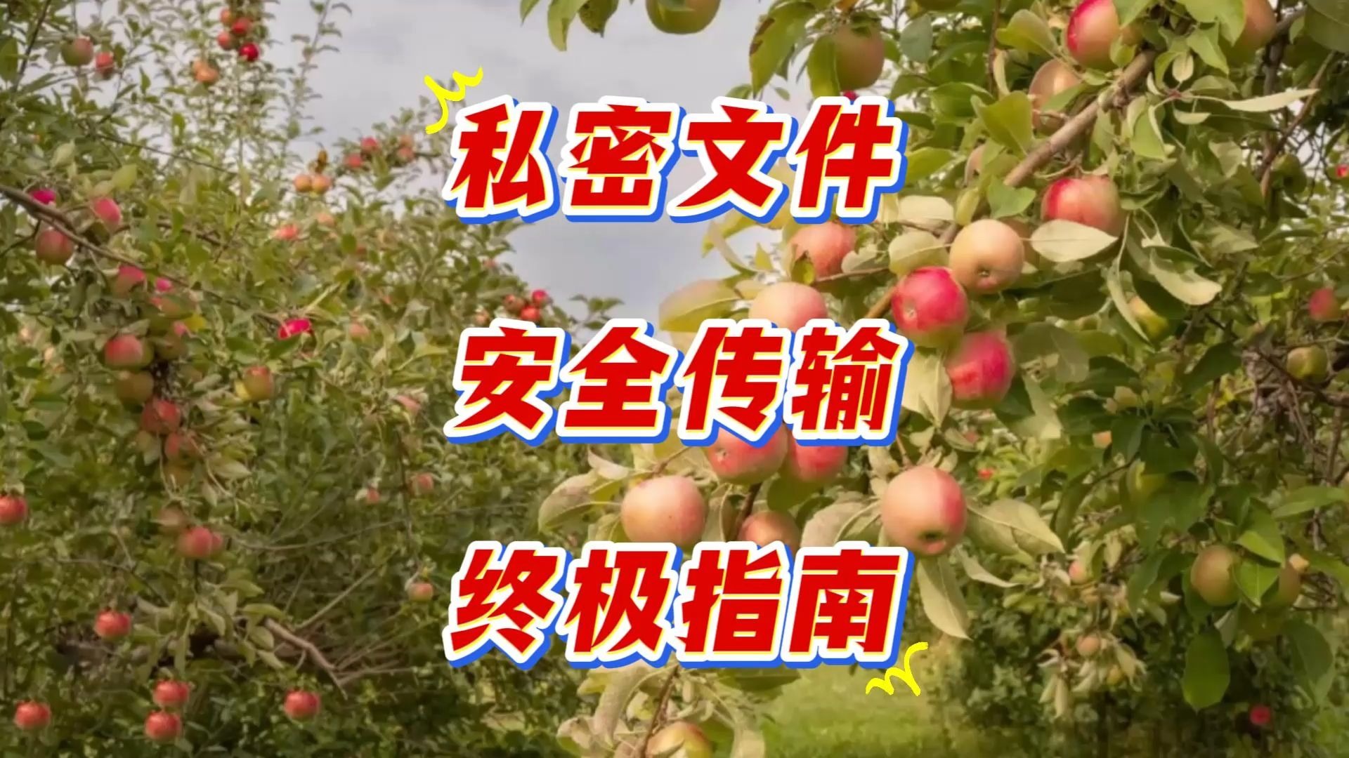 发送文件必看!一键给文件加密码,隐私不泄露