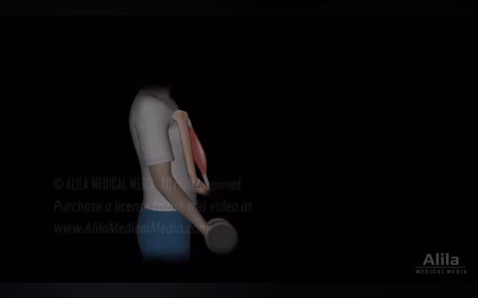 超详细的神经肌肉接头-动作电位产生的动画模型 考研必考知识点