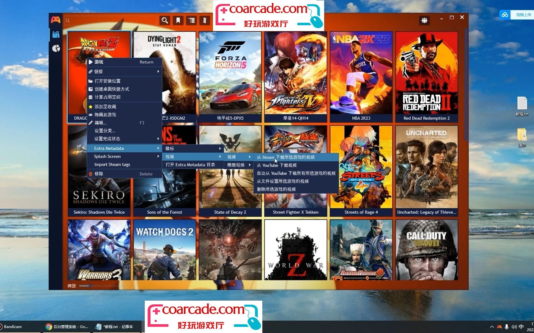 Playnite前端游戏管理系统分享即主播同款界面设置教程