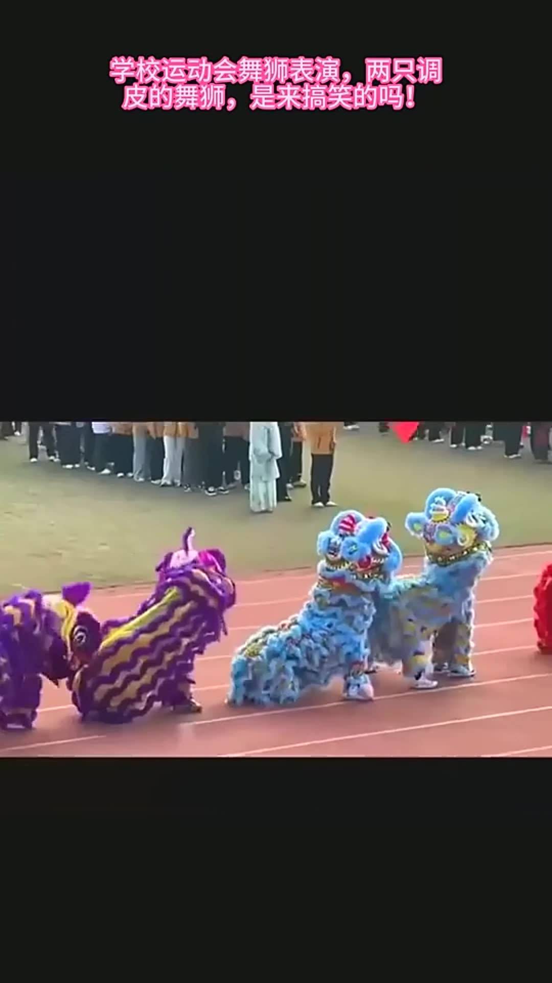 学校运动会舞狮表演,两只调皮的舞狮,是来搞笑的吗!
