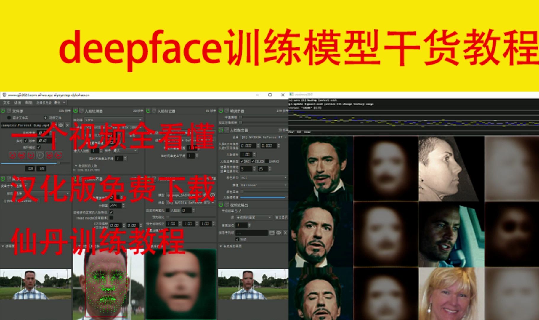 deepfacelive+deepfacelap训练模型,全干货无尿点