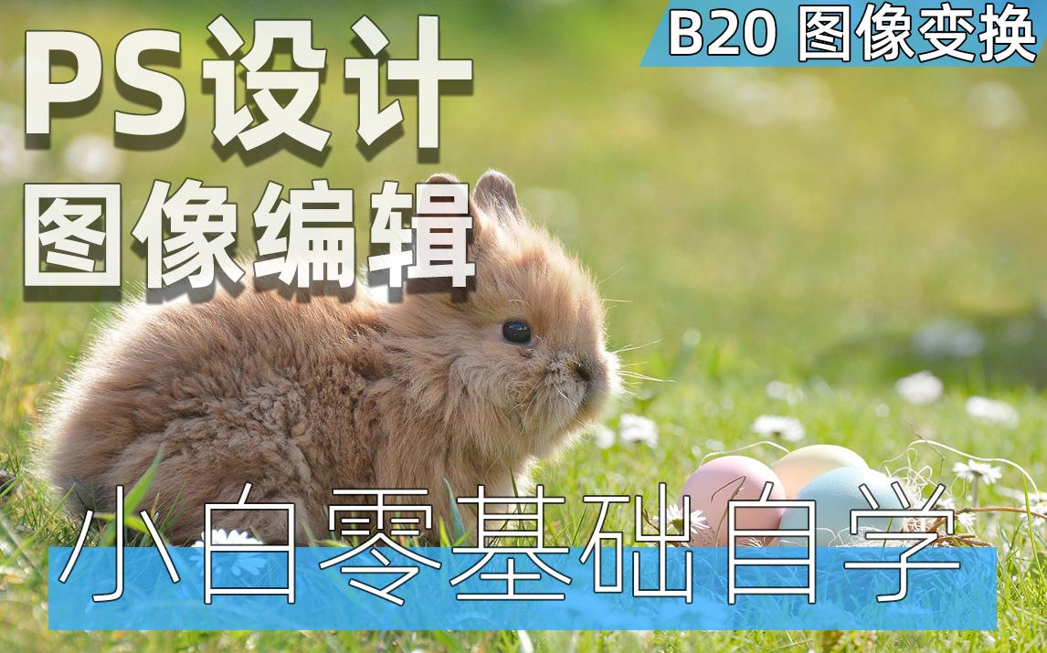 b20图像变换变形定界框中心点控制点 photoshop教程 PS自学基础平面...