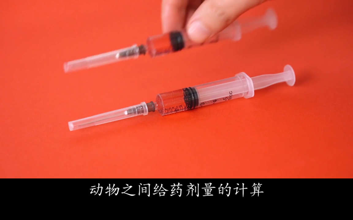 动物之间给药剂量的换算