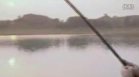 钓鱼方法 海竿水怪钓鲢鳙技巧 夜光棒如何调漂