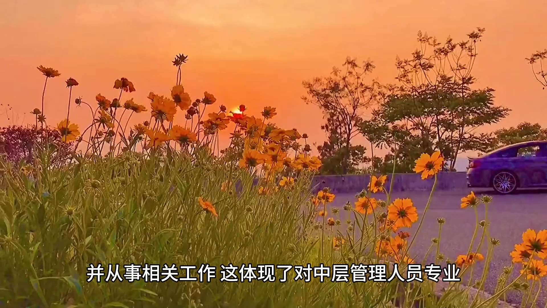 上海市建筑三类人员A、B、C证申请条件 I37*6I57*483I