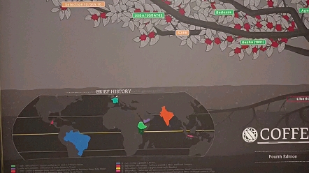 很好用的咖啡品种族谱图