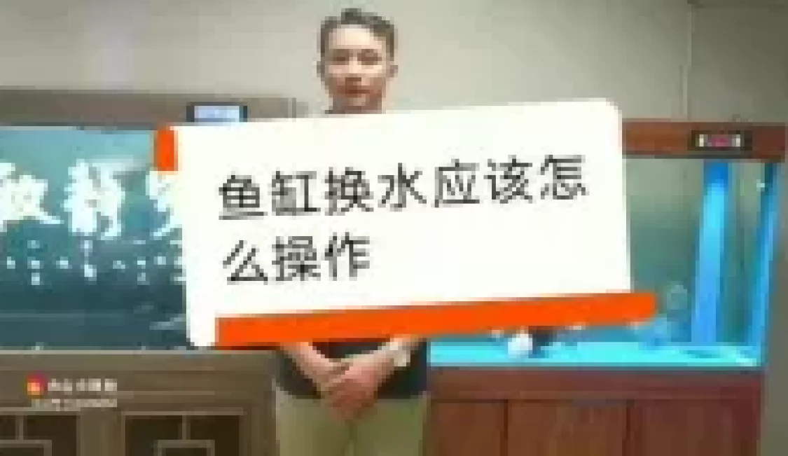 鱼缸应该怎样换水?养鱼换水怎么操作?