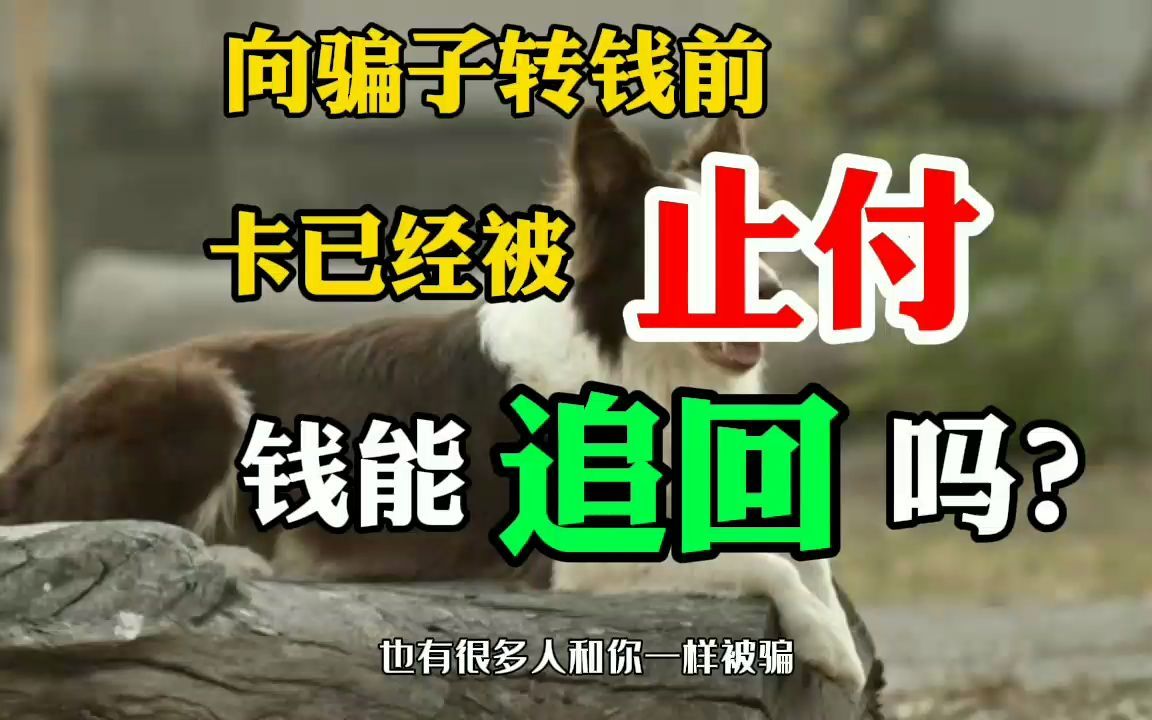 向骗子转钱前,卡被止付,钱能追回吗?