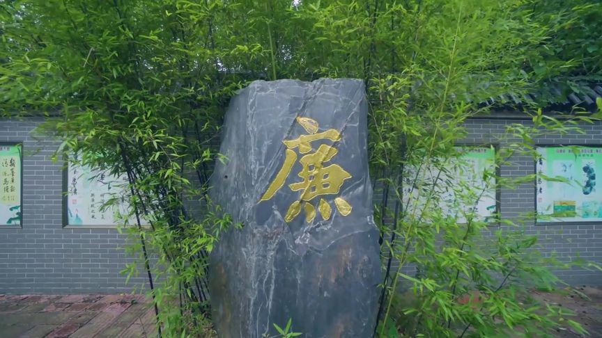 高村镇卫生院“清廉医院”创建演讲宣传片#全心全意为人民服务