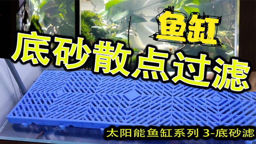 17元仓库垫板-打造强大底砂过滤,多点吸附活化底床。