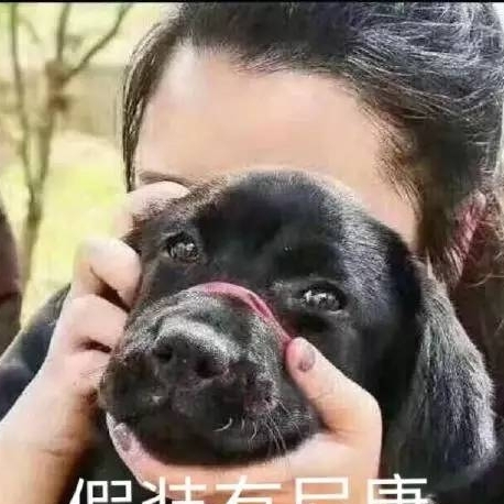JOJO丨阿成 